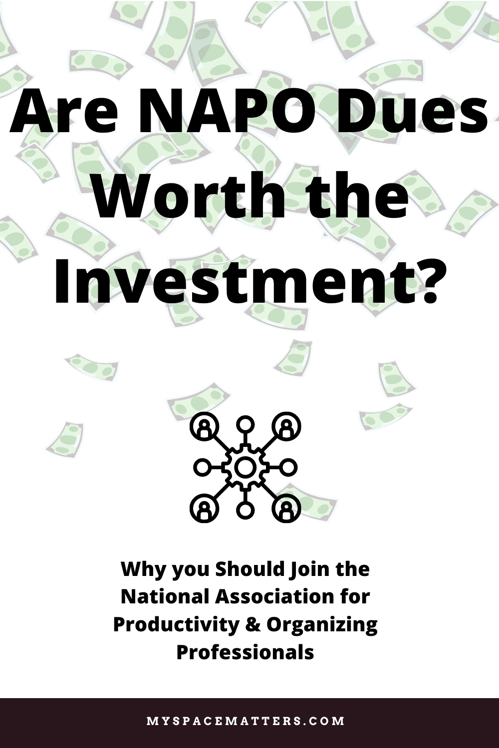 What is a NAPO Membership and When to Join (Tips from a Professional ...